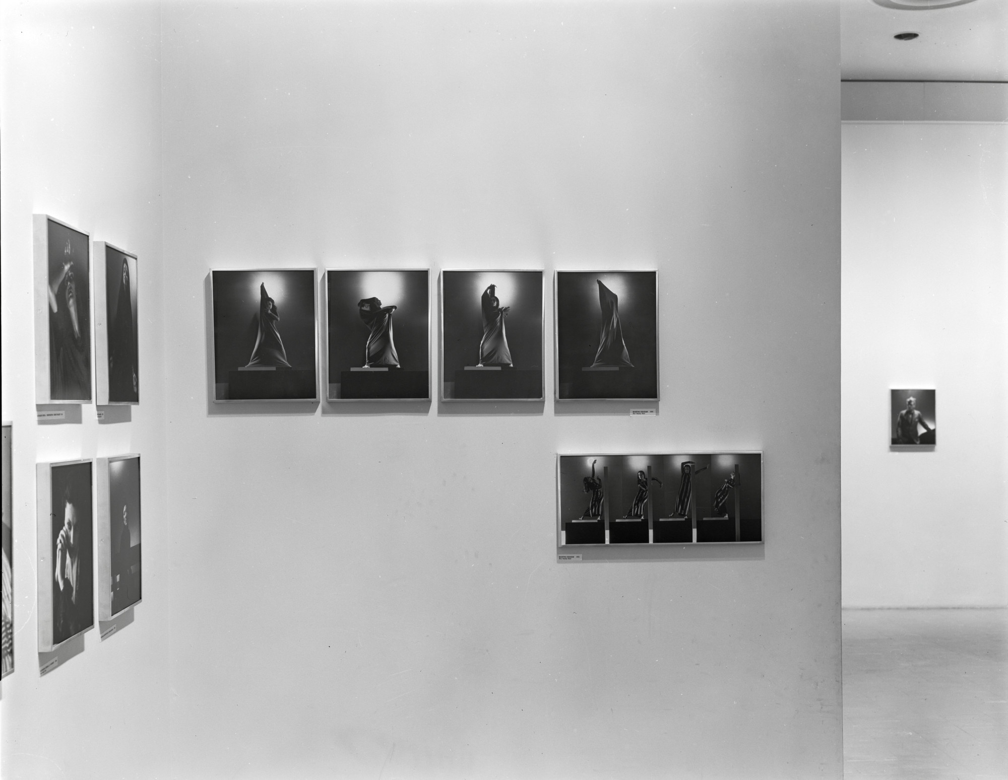 Installation view of the exhibition "Steichen the Photographer" | MoMA