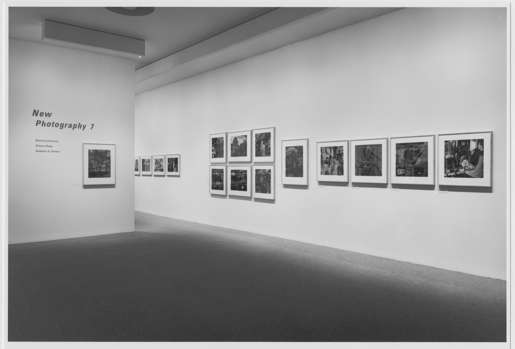 Installation view of the exhibition "New Photography 7" | MoMA