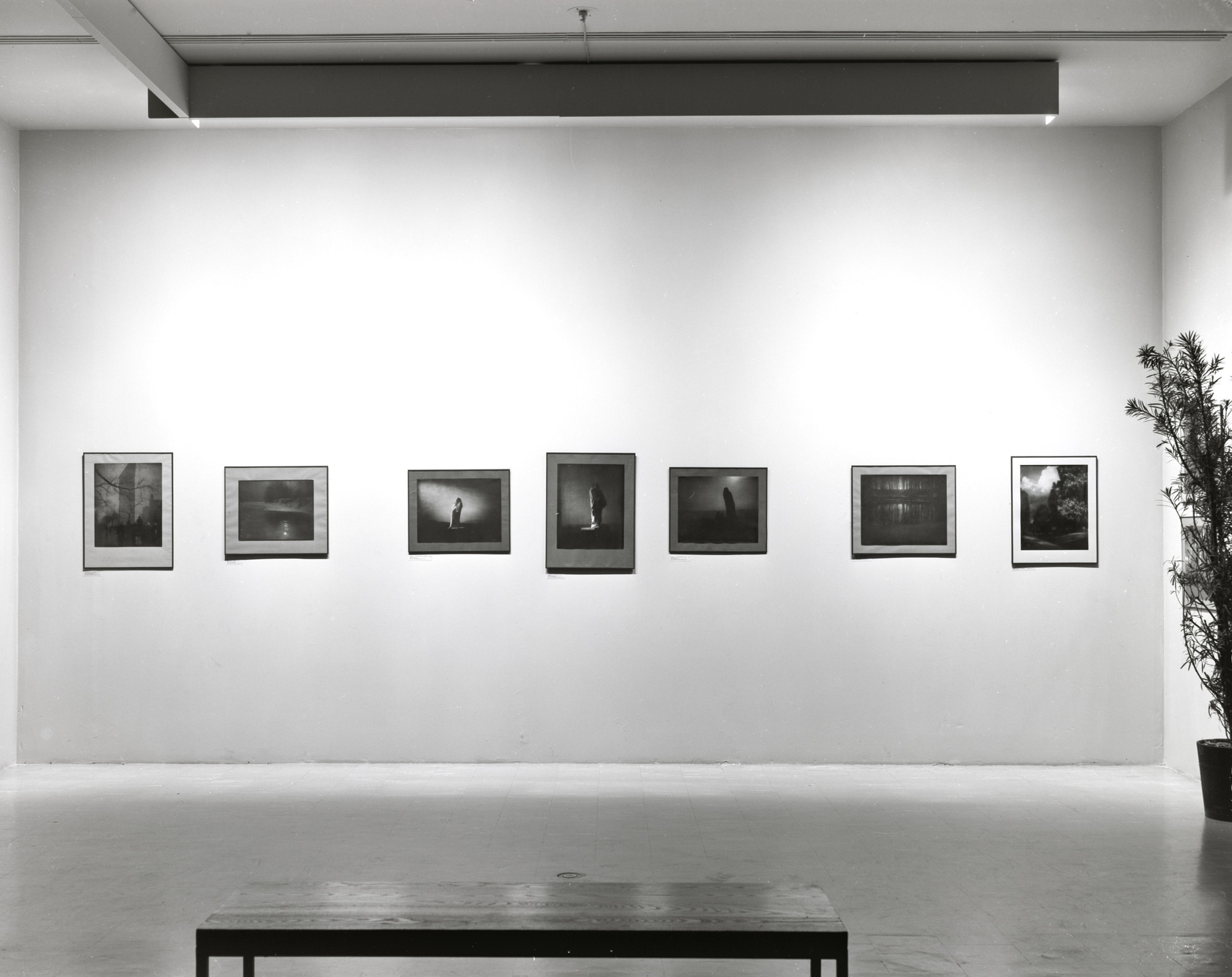 Installation view of the exhibition "Steichen the Photographer" | MoMA