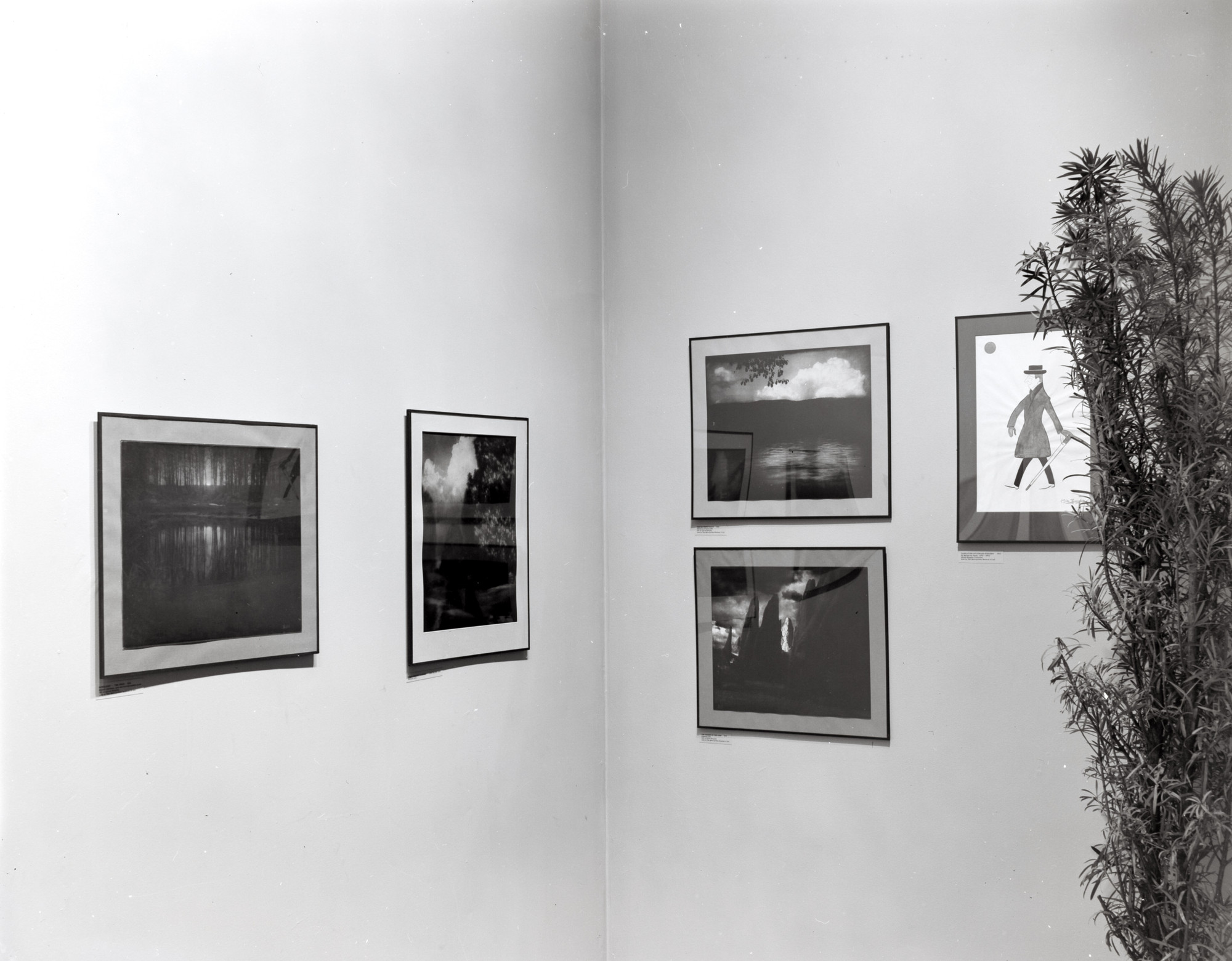 Installation view of the exhibition "Steichen the Photographer" | MoMA