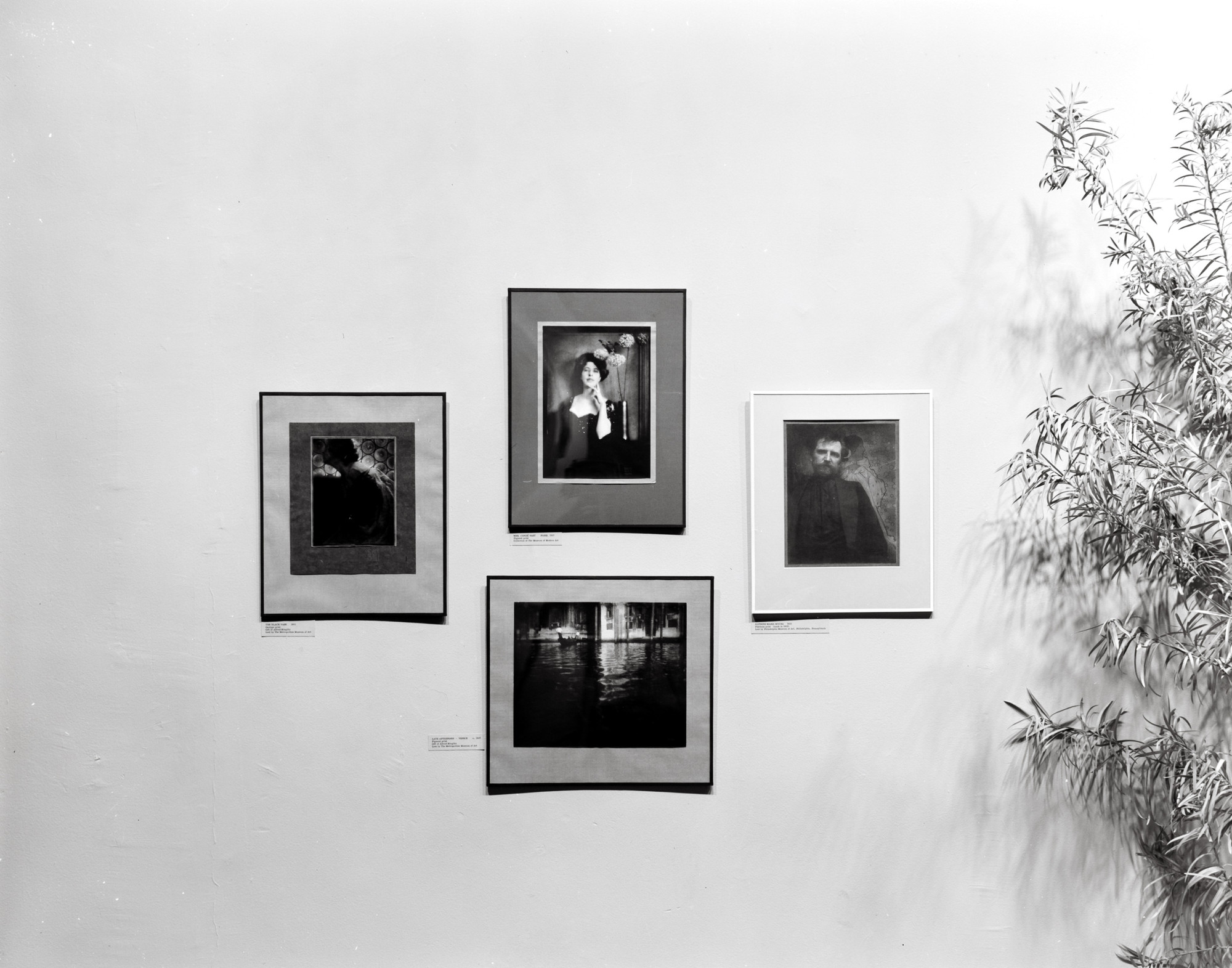 Installation view of the exhibition "Steichen the Photographer" | MoMA