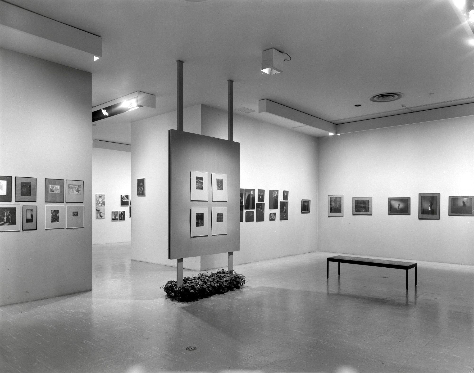 Installation view of the exhibition "Steichen the Photographer" | MoMA