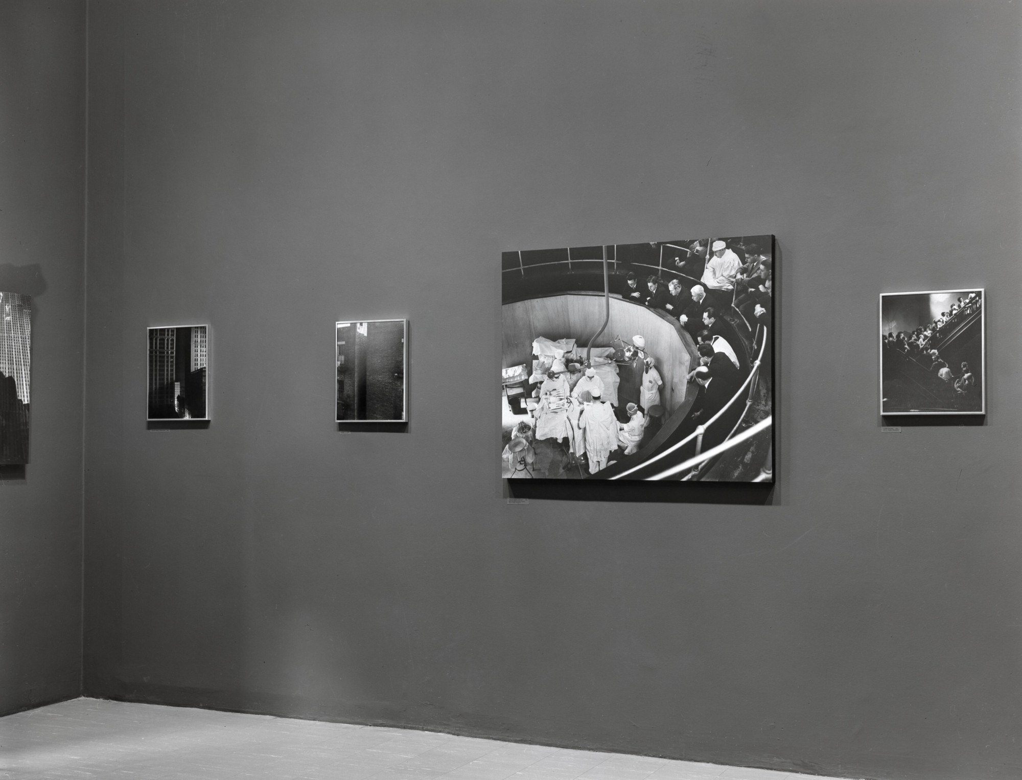 Installation view of the exhibition "Steichen the Photographer" | MoMA