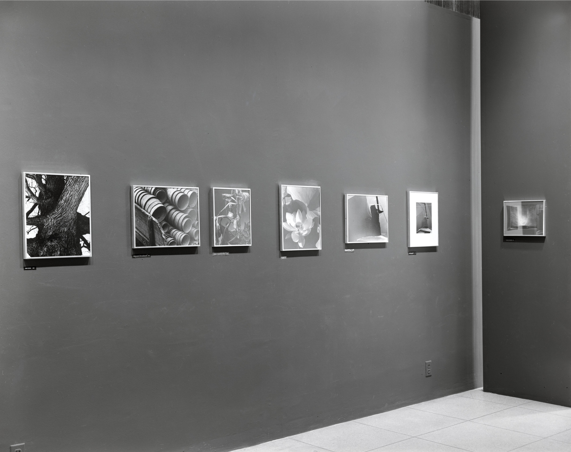 Installation view of the exhibition "Steichen the Photographer" | MoMA