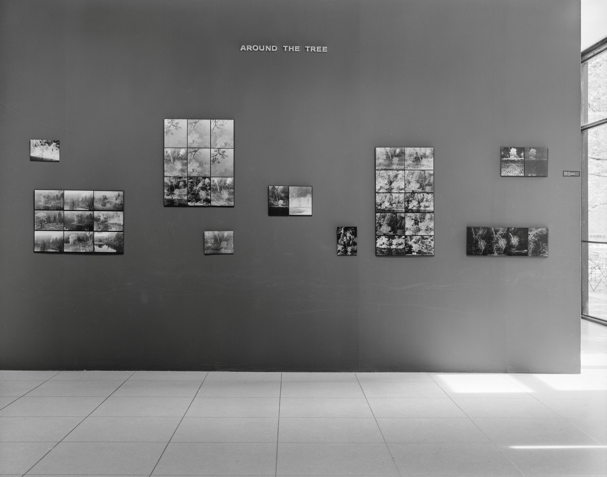 Installation view of the exhibition "Steichen the Photographer" | MoMA