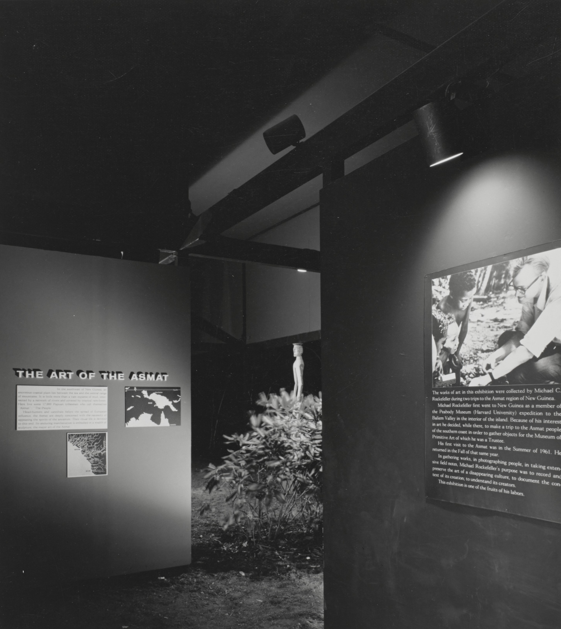 Installation view of the exhibition "Art of the Asmat - The Collection ...