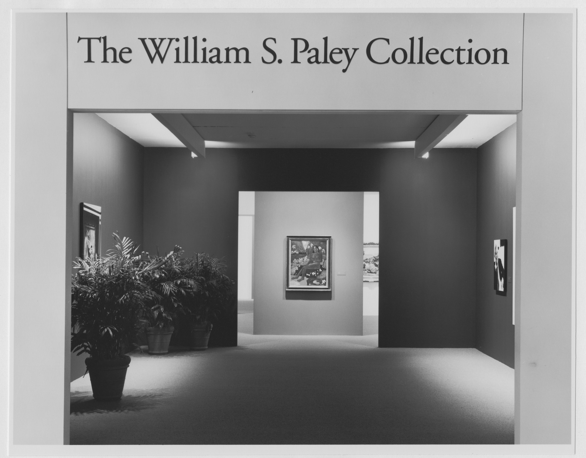 Installation view of the exhibition "The William S. Paley Collection ...