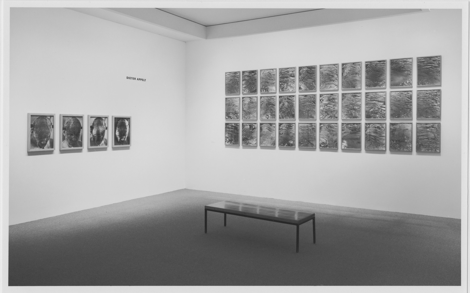 Installation view of the exhibition "New Photography 8" | MoMA