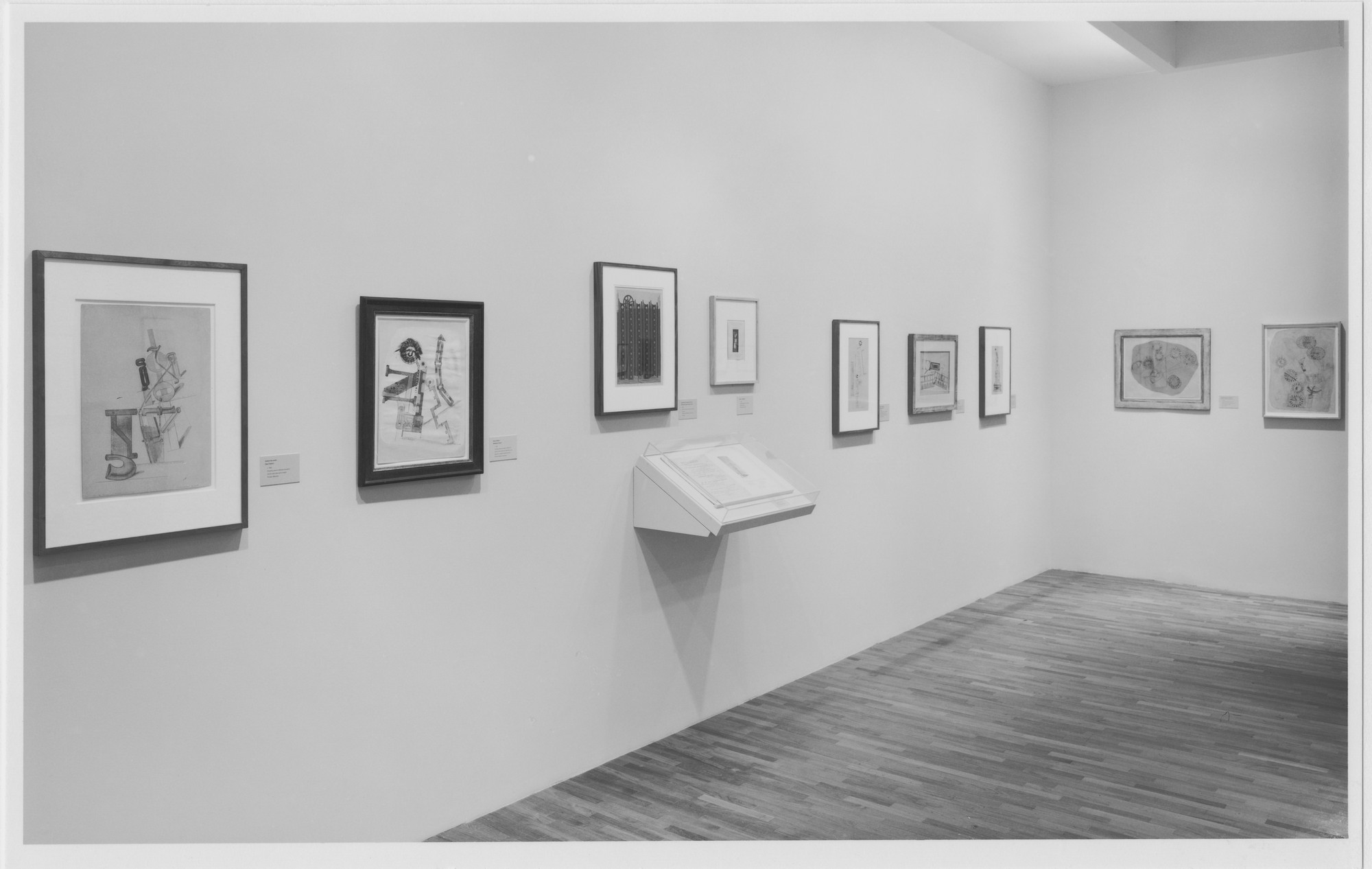 Installation view of the exhibition "Max Ernst: Dada and the Dawn of ...