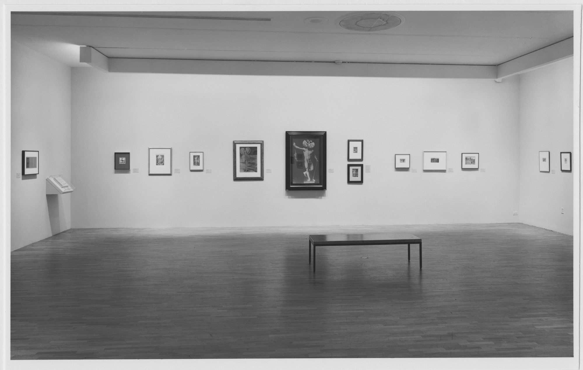 Installation view of the exhibition "Max Ernst: Dada and the Dawn of ...