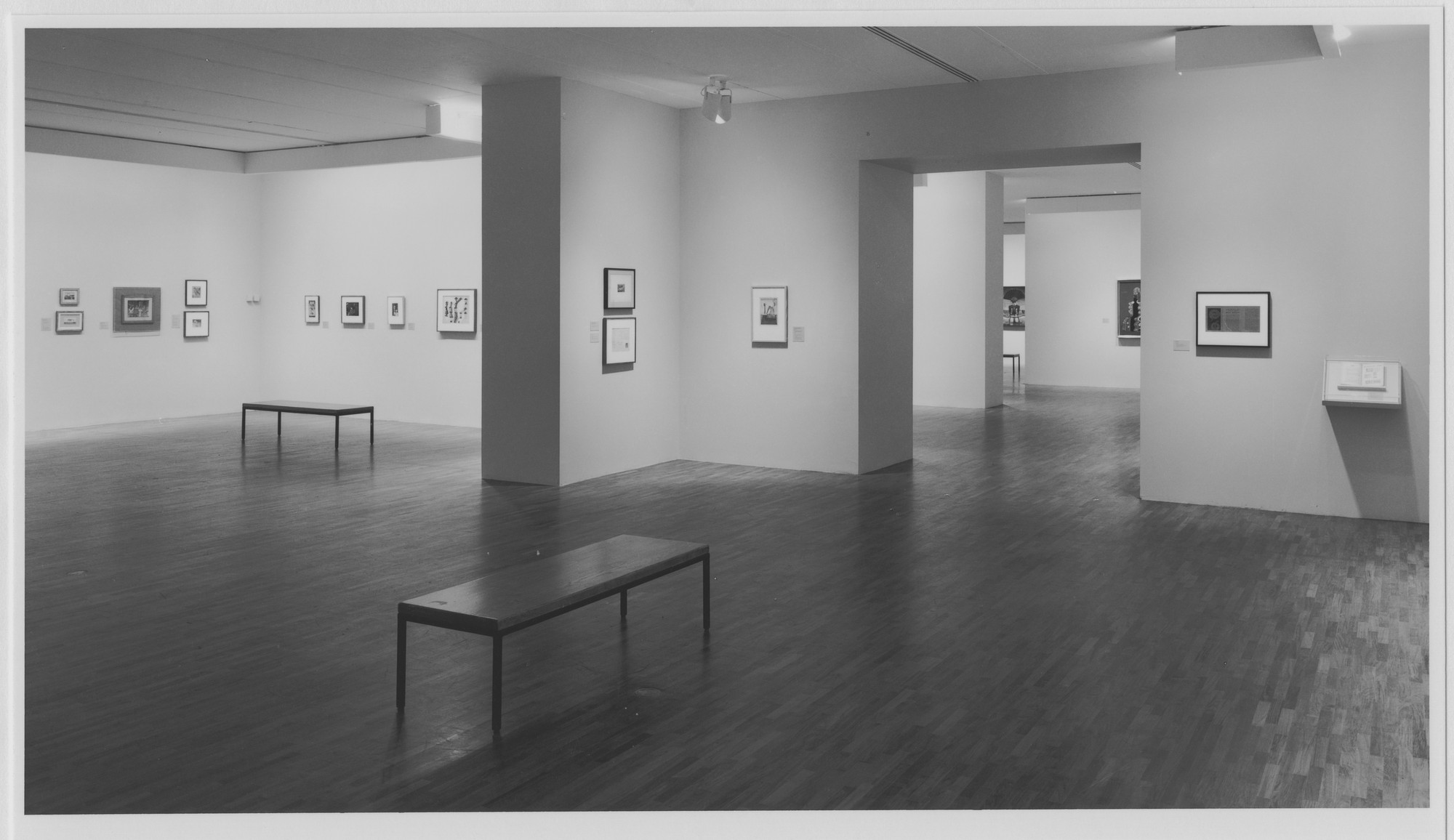 Installation view of the exhibition "Max Ernst: Dada and the Dawn of ...