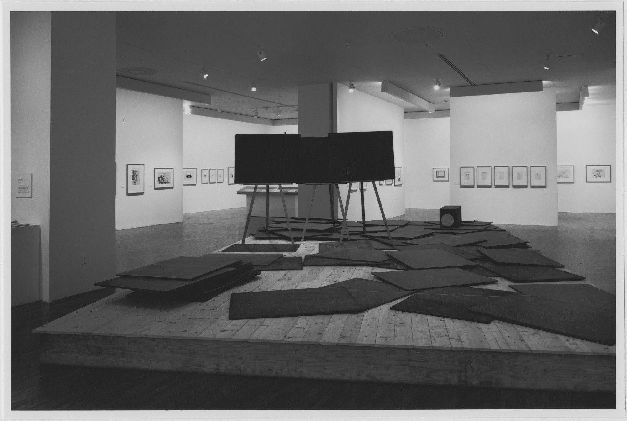 Installation view of the exhibition "Thinking is Form: The Drawings of Joseph Beuys" | MoMA