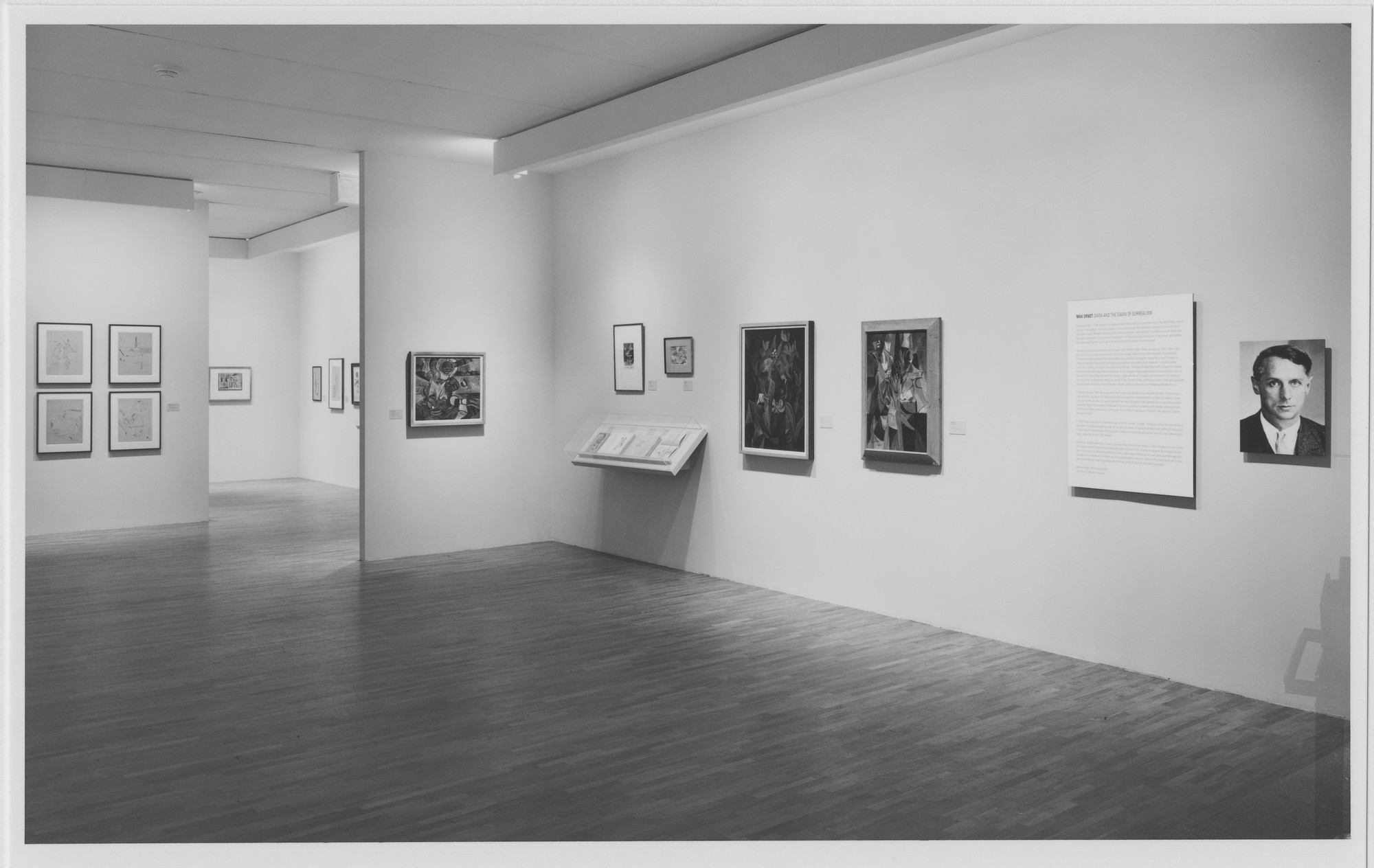 Installation view of the exhibition "Max Ernst: Dada and the Dawn of ...