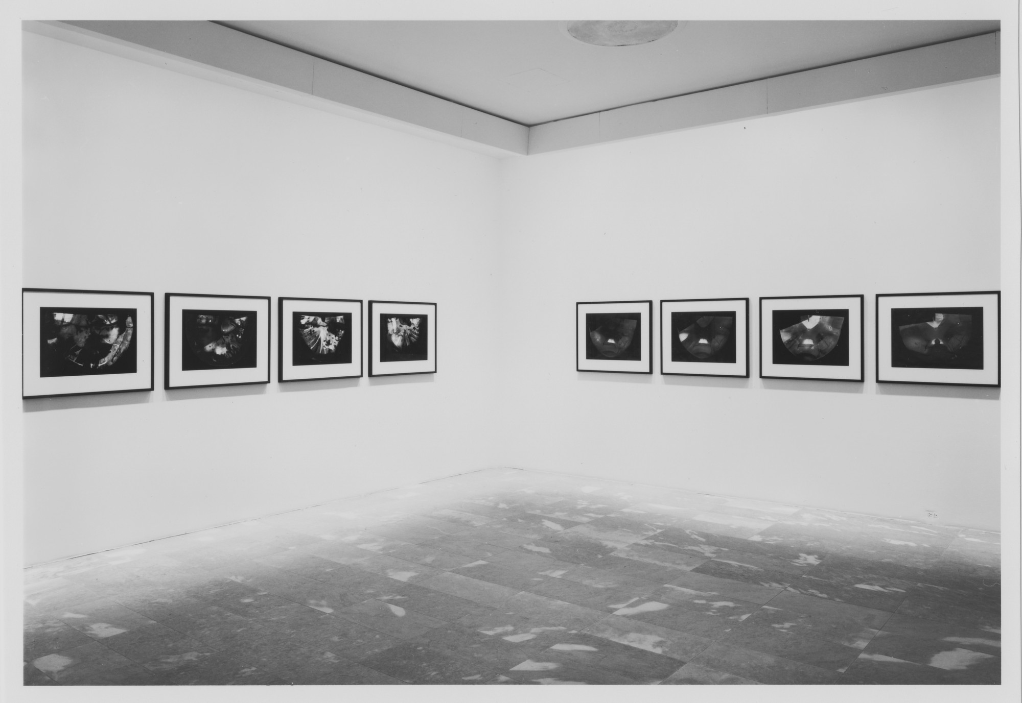 Installation view of the exhibition "Projects 44: Sarah Lucas/Steven ...