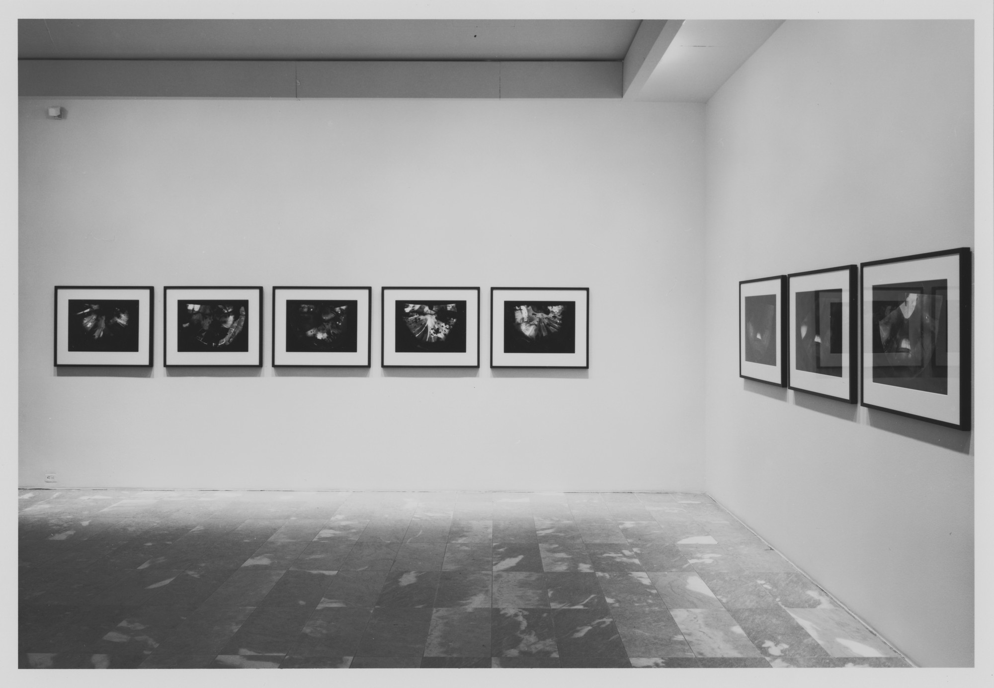 Installation view of the exhibition "Projects 44: Sarah Lucas/Steven ...
