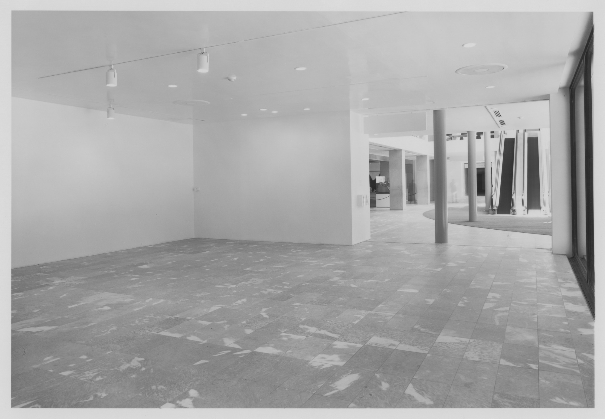 Installation view of the exhibition "Projects 46: Karin Sander" | MoMA