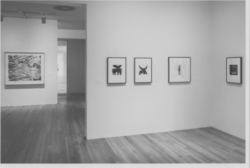 Mario Merz. Prehistoric Wind from Iced Mountains. (1981) | MoMA