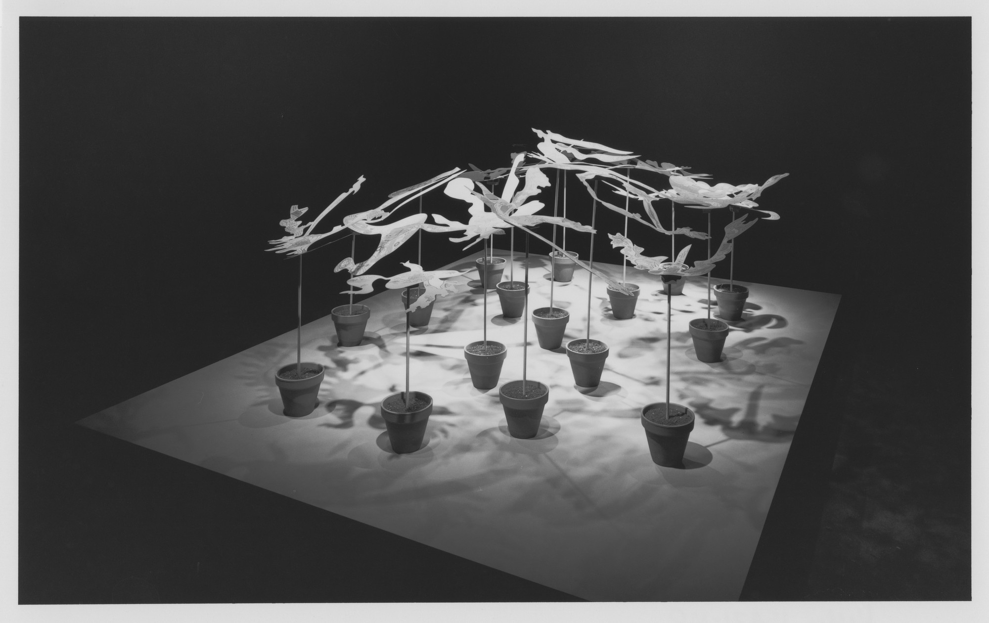 Installation view of the exhibition "Mapping" | MoMA