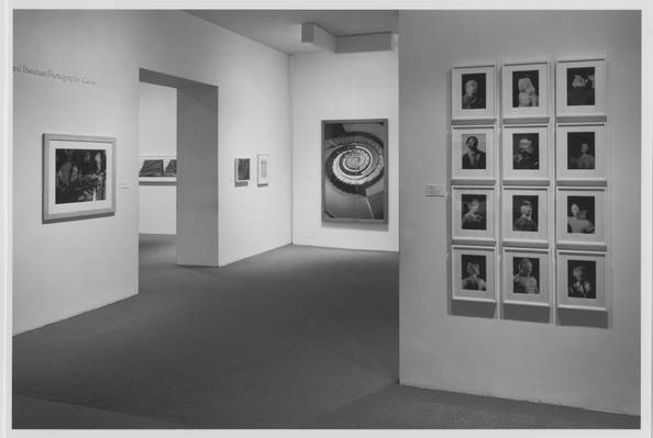 Jan Groover. Untitled. 1989 | MoMA