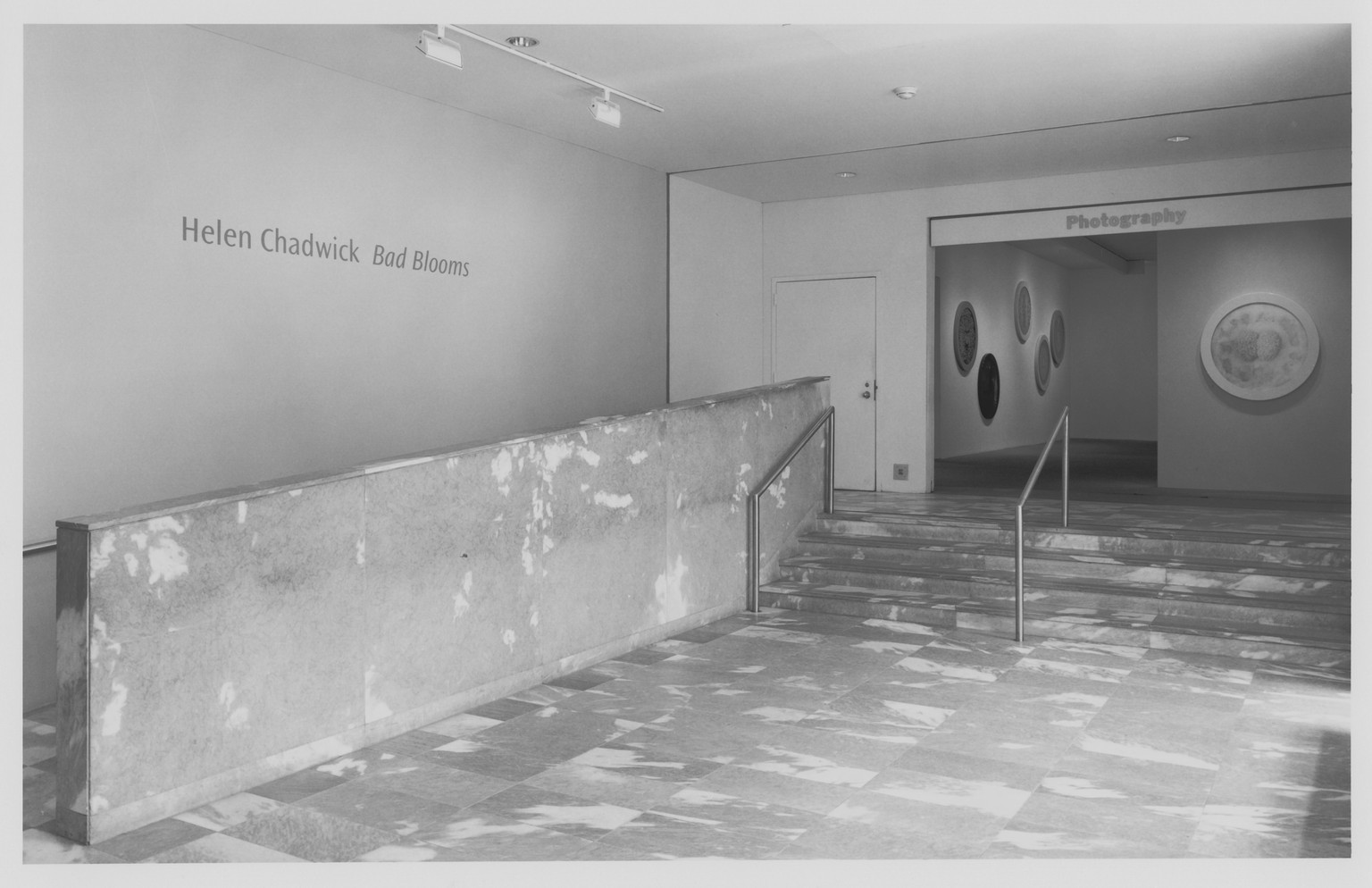 Helen Chadwick: Bad Blooms | MoMA