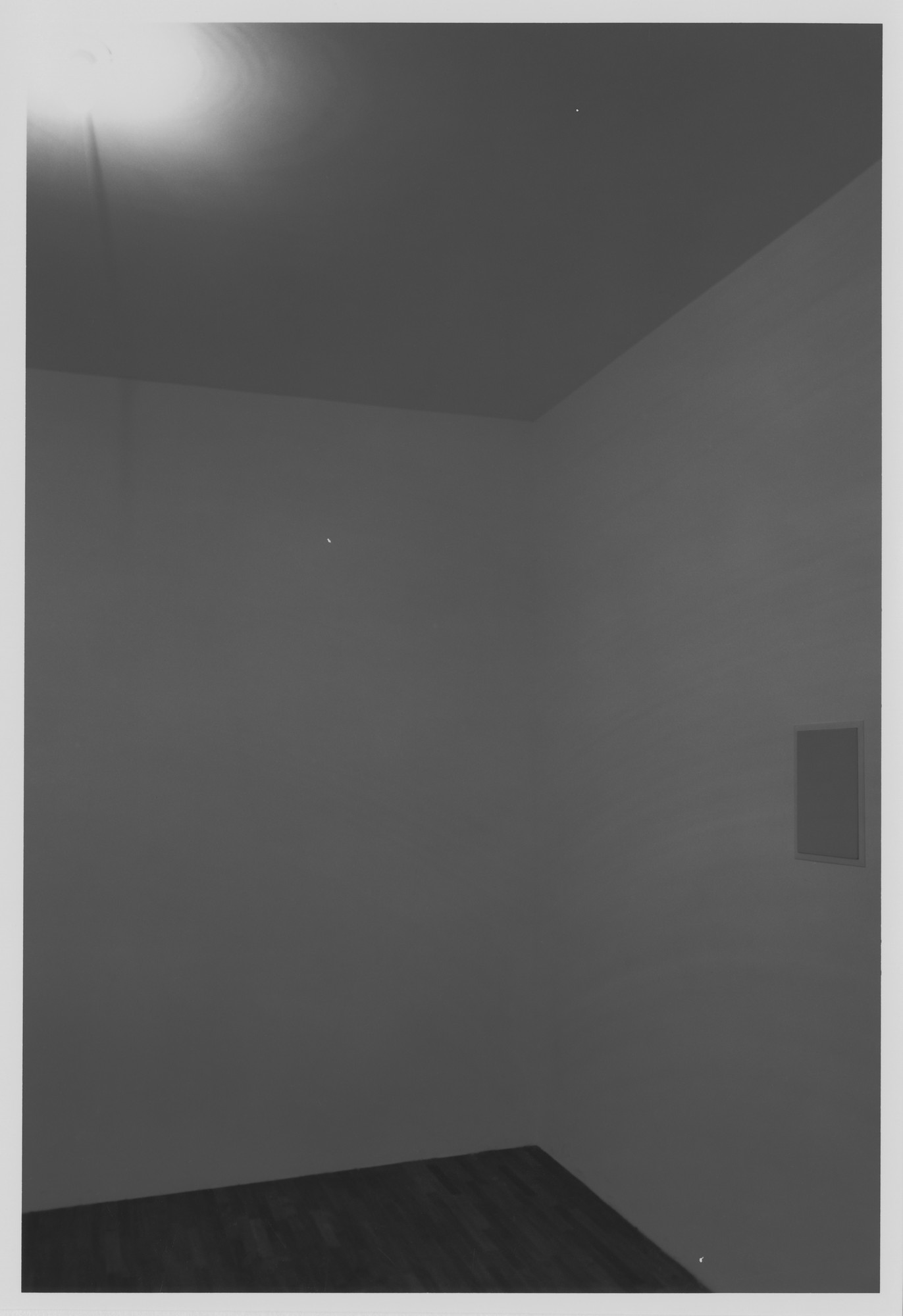 Installation view of the exhibition "Bruce Nauman" | MoMA