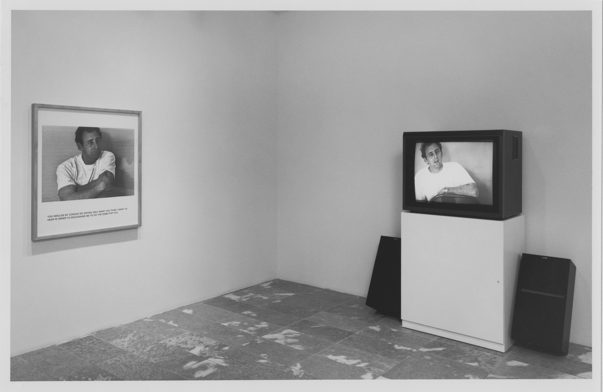 Installation view of the exhibition "Projects 54: Hirsch Perlman" | MoMA