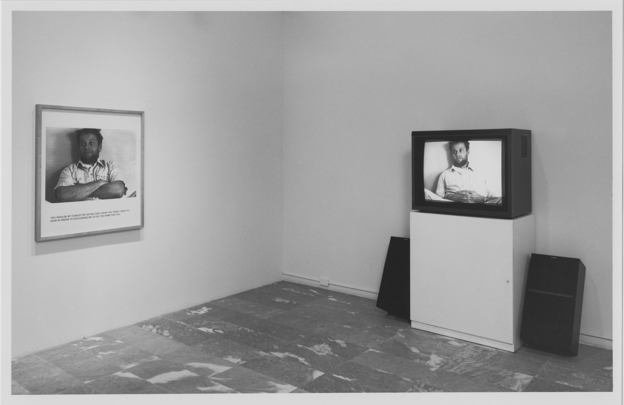 Installation view of the exhibition "Projects 54: Hirsch Perlman" | MoMA