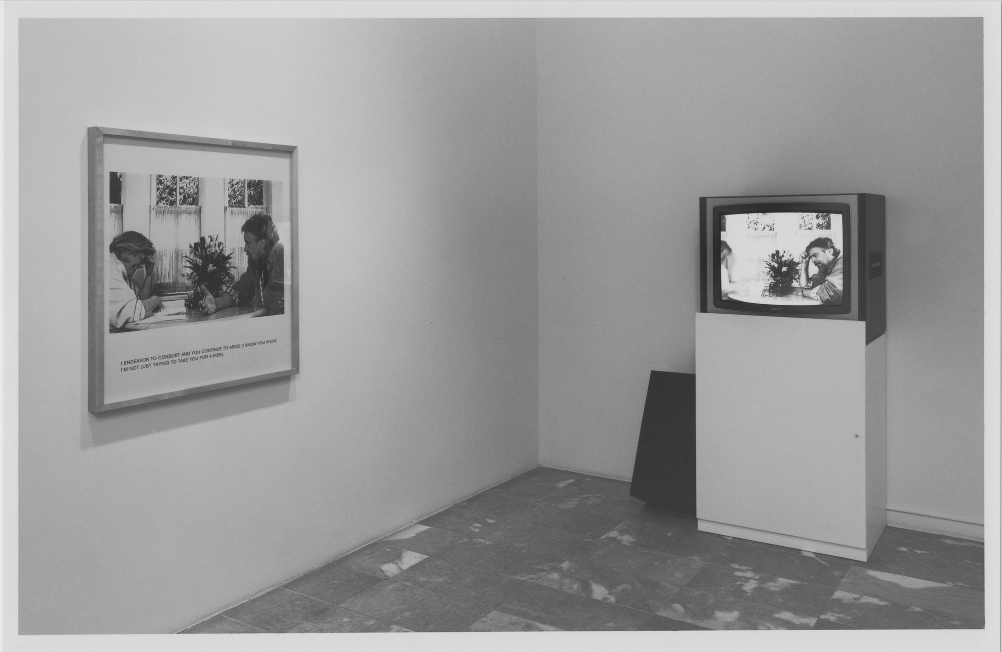 Installation view of the exhibition "Projects 54: Hirsch Perlman" | MoMA