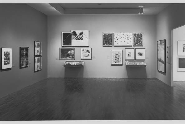 Grenville Davey. Eye. 1993 | MoMA