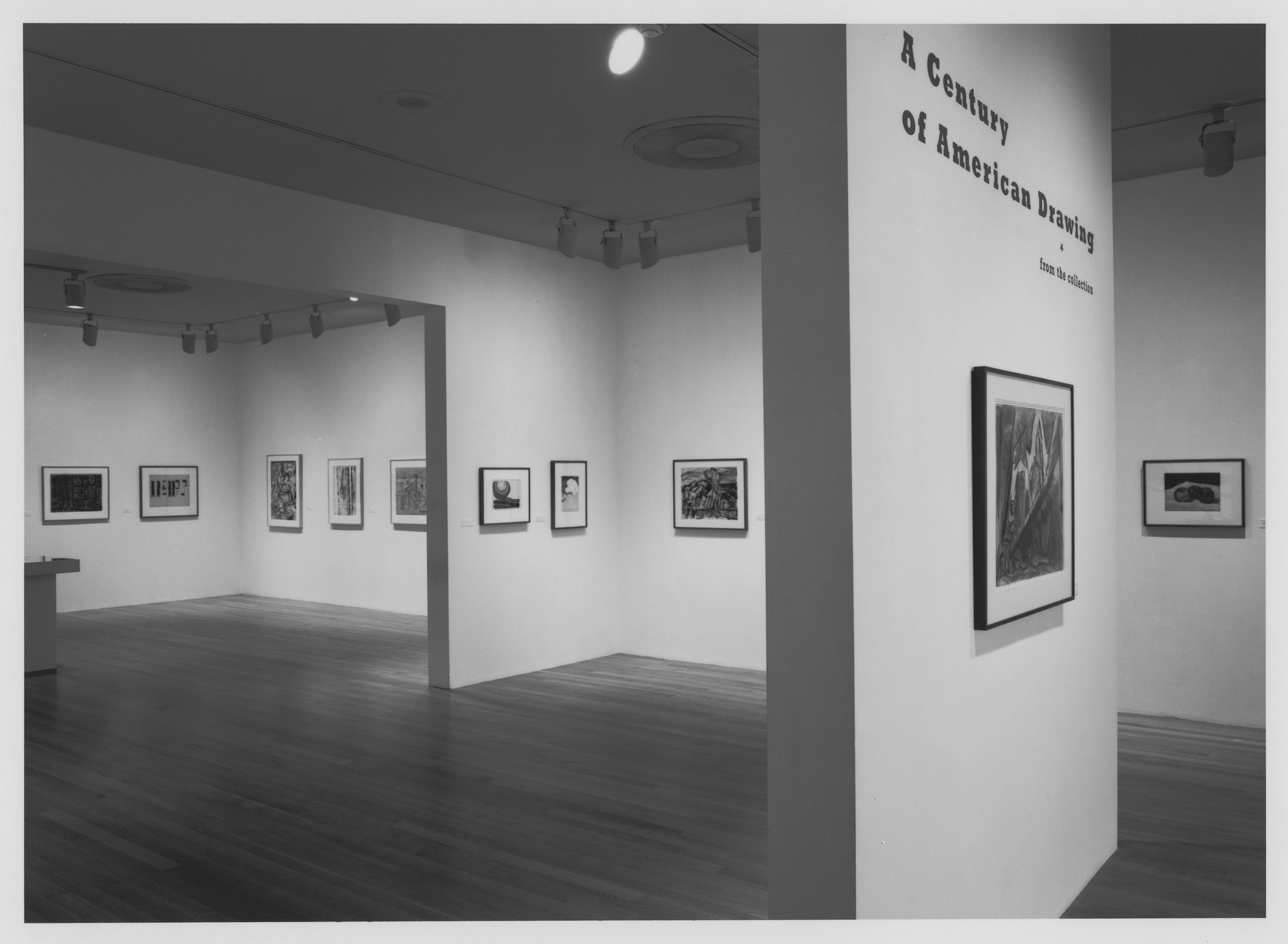 Installation view of the exhibition "From the Collection: A Century of American Drawings" | MoMA