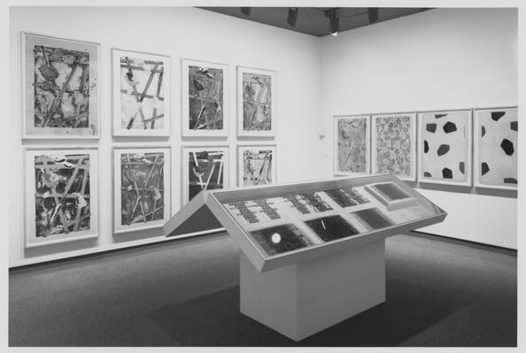 Jasper Johns. Four Panels from Untitled 1972. 1973–74, published 1974 ...