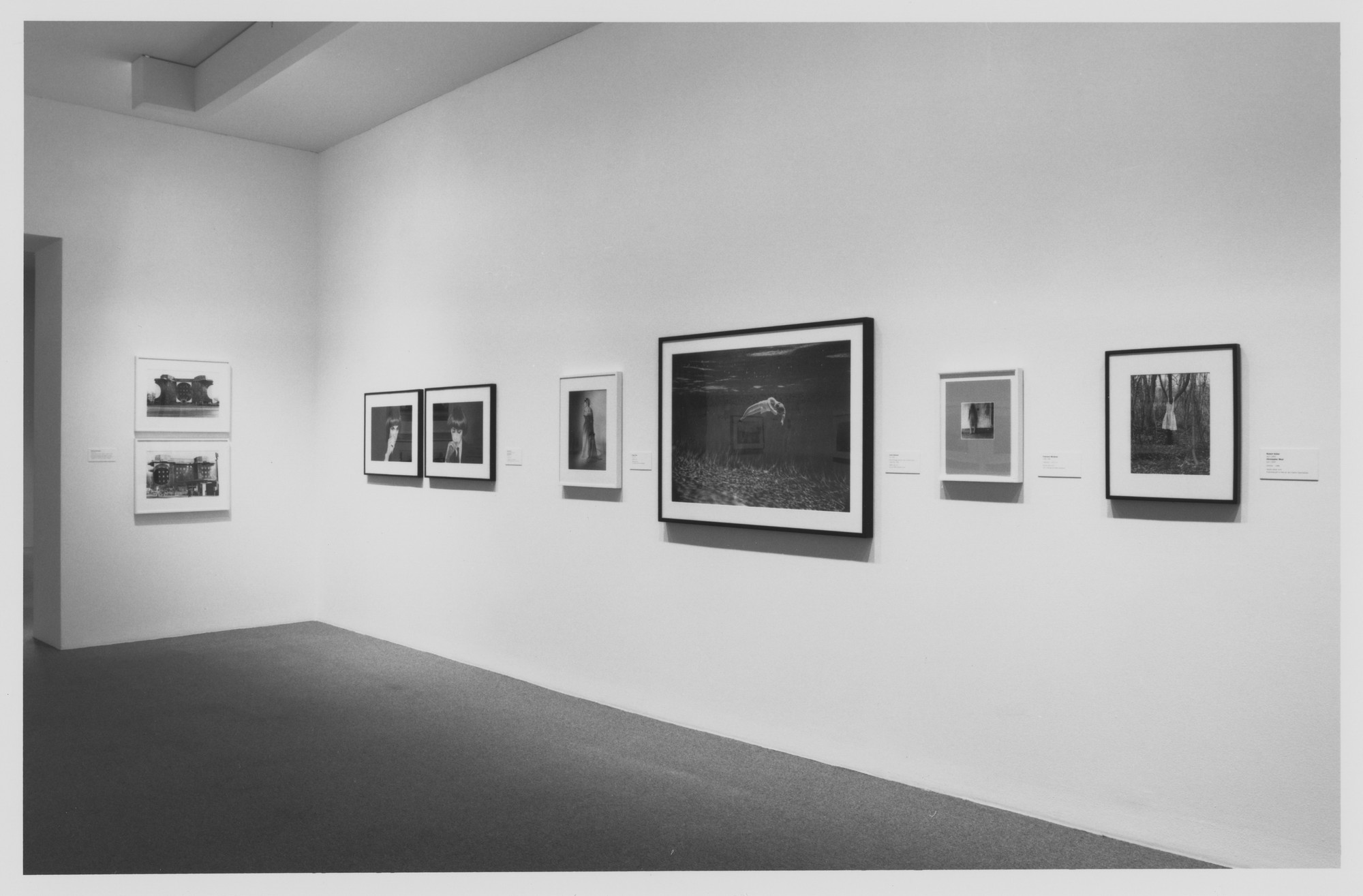 Installation view of the exhibition "Recent Acquisitions: American ...
