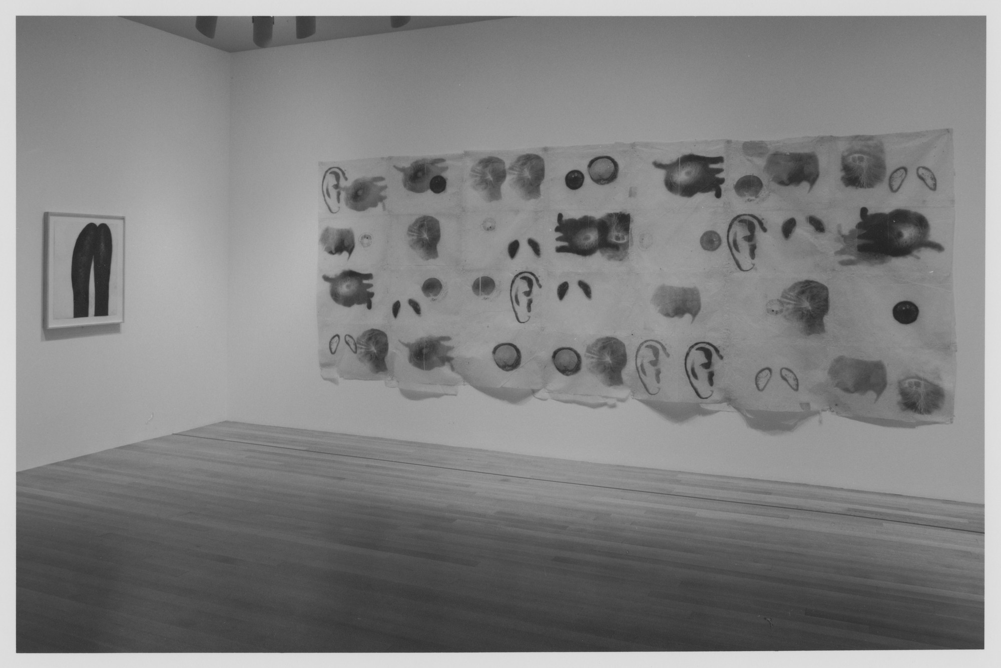Contemporary Drawing Installations