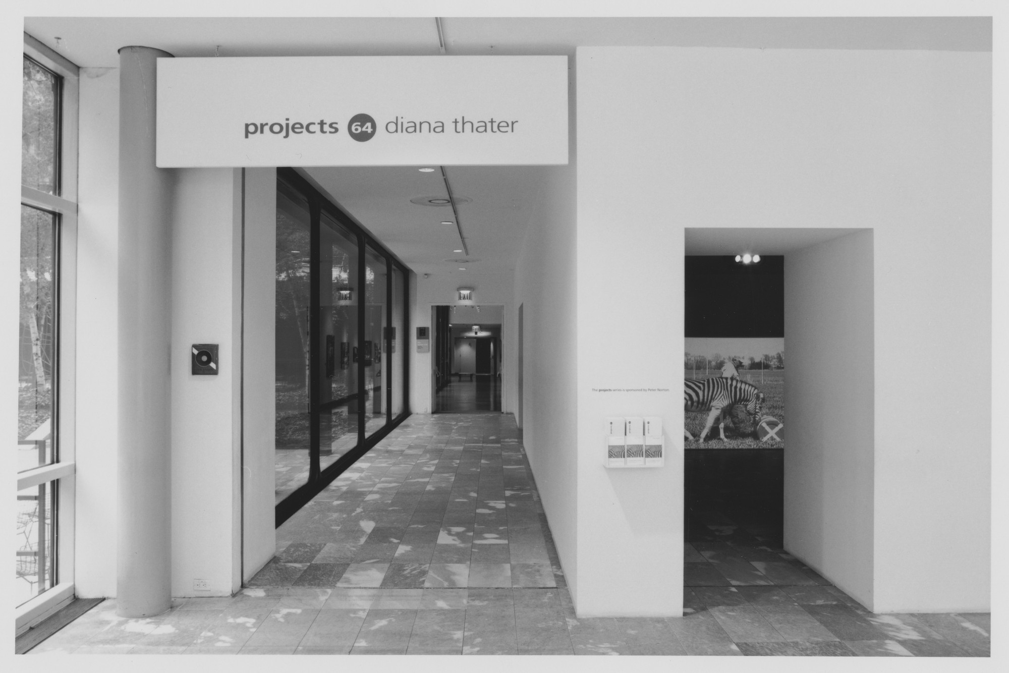 Installation view of the exhibition "Projects 64: Diana Thater" | MoMA