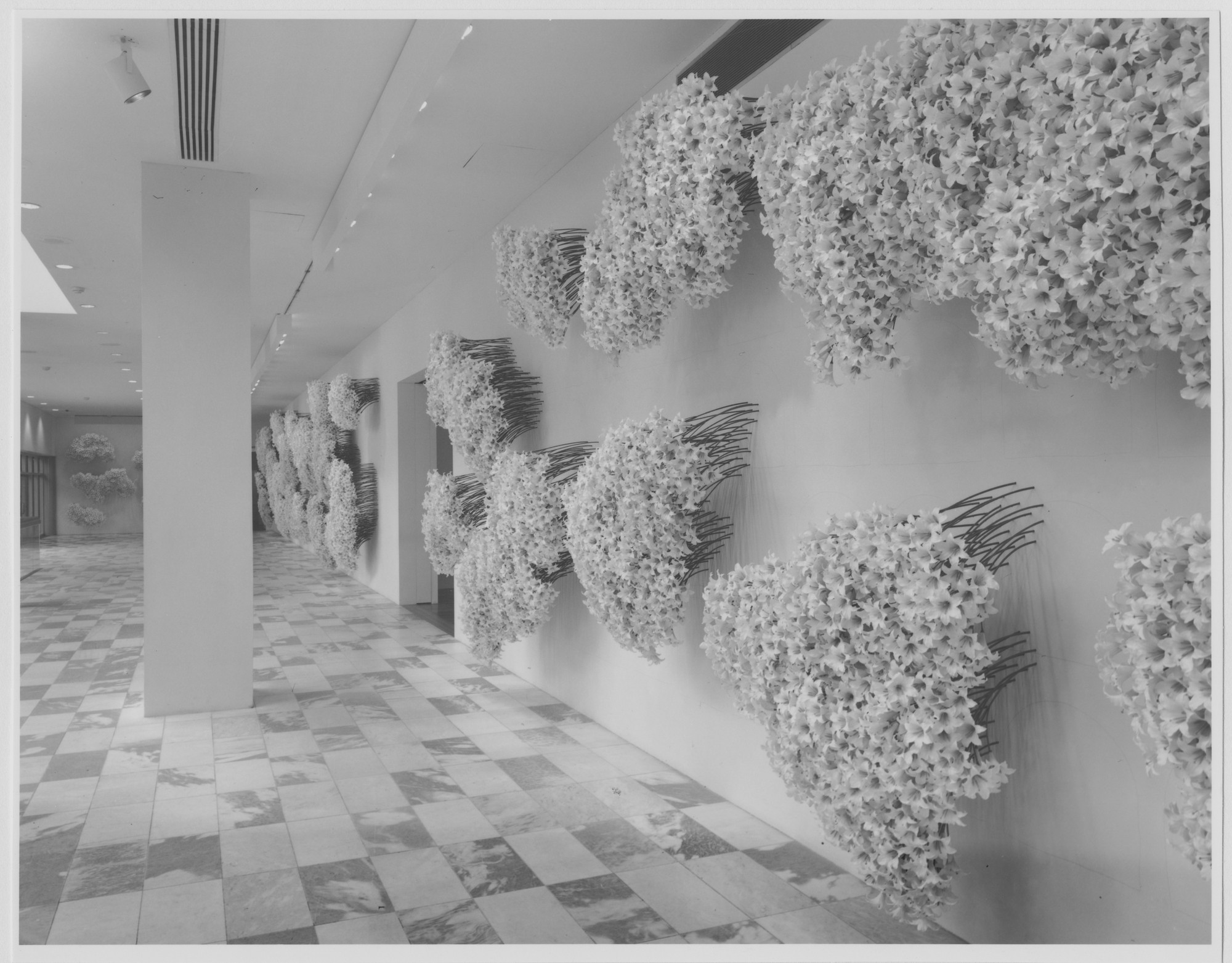 Installation view of the exhibition "Maria Fernanda Cardoso, " in the ...