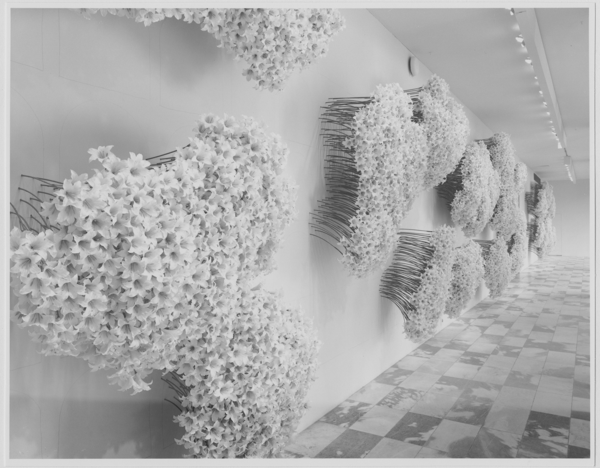 Installation view of the exhibition "Maria Fernanda Cardoso, " in the ...