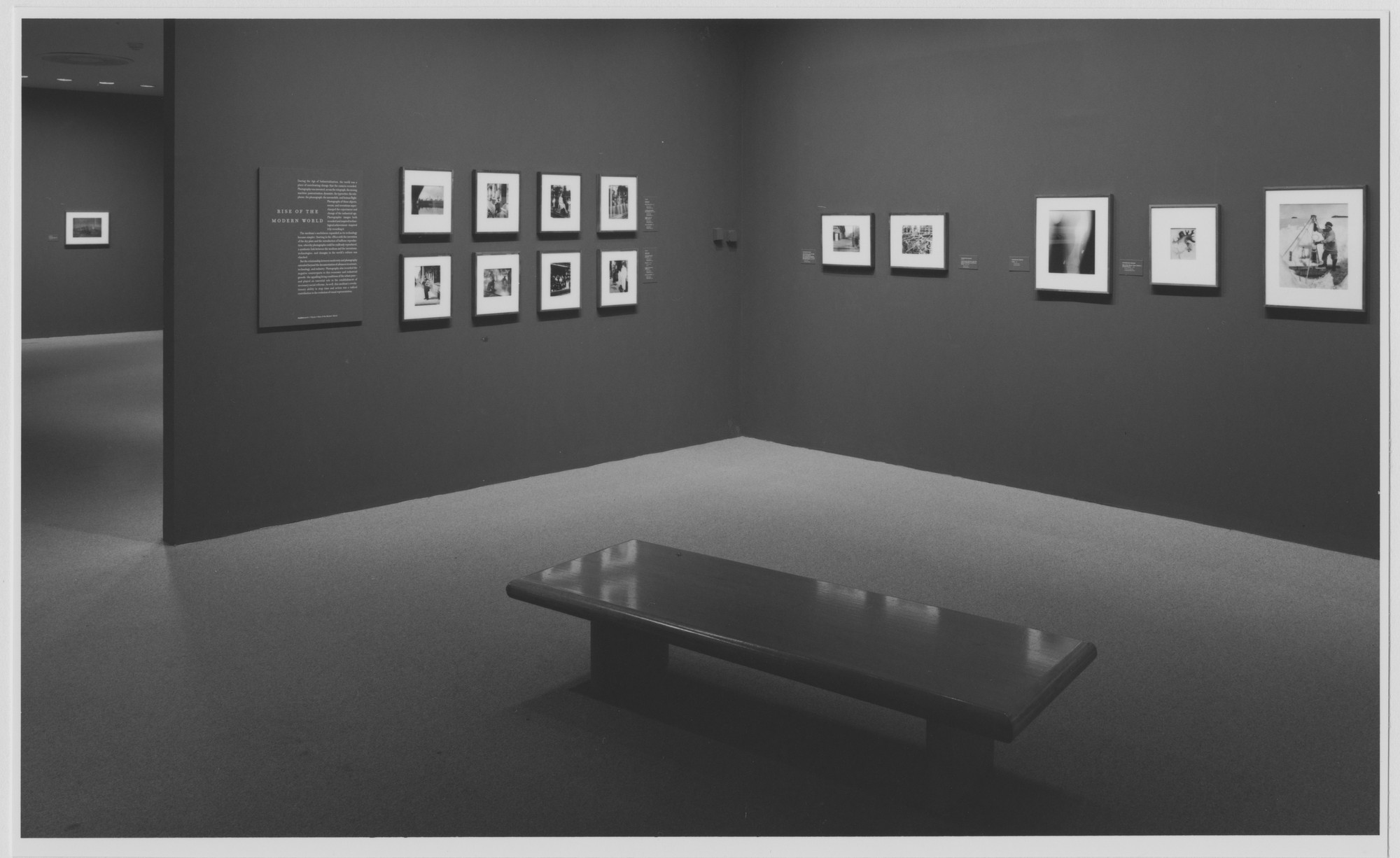 Installation view of the exhibition "Rise of the Modern World, " in the ...
