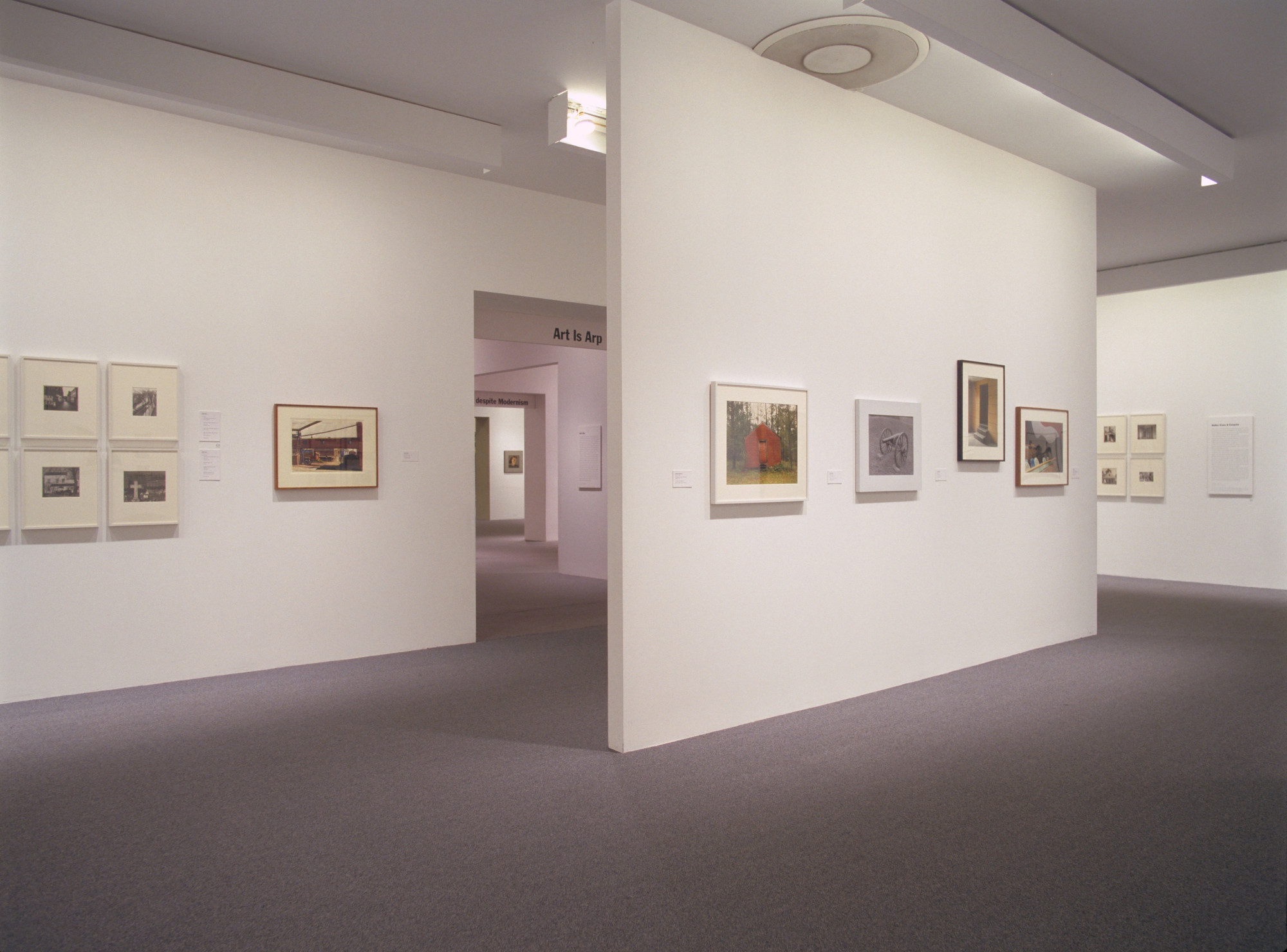 Installation view of the exhibition "Walker Evans & Company," in the ...