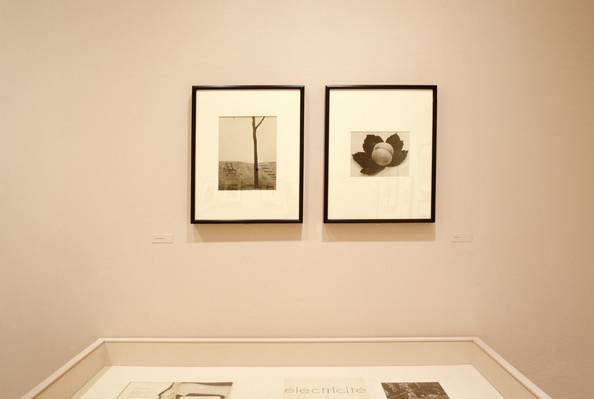 Man Ray (Emmanuel Radnitzky). Untitled. 1931 | MoMA