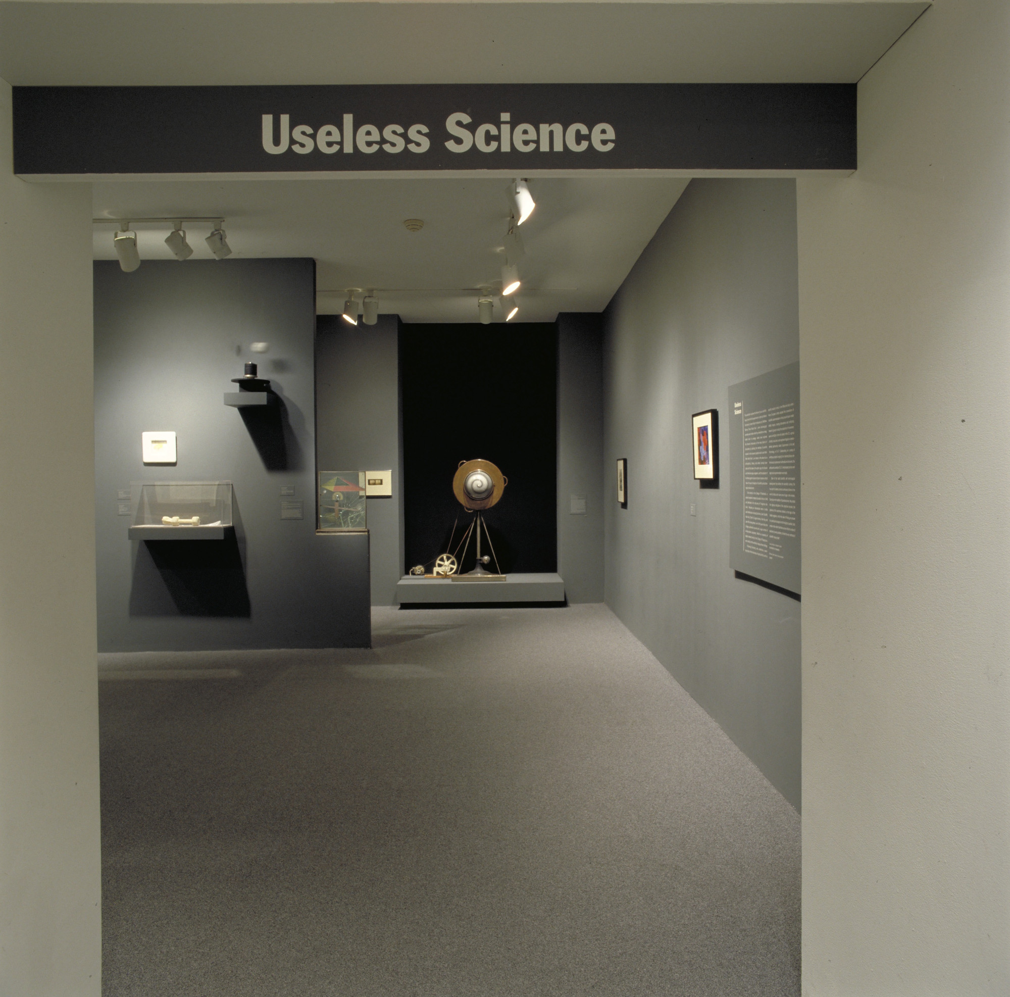 Installation view of the exhibition "Useless Science," in the series ...