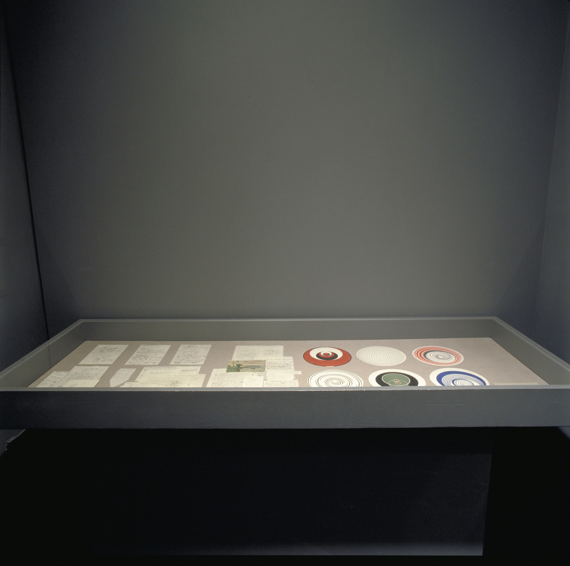 Installation view of the exhibition "Useless Science," in the series ...