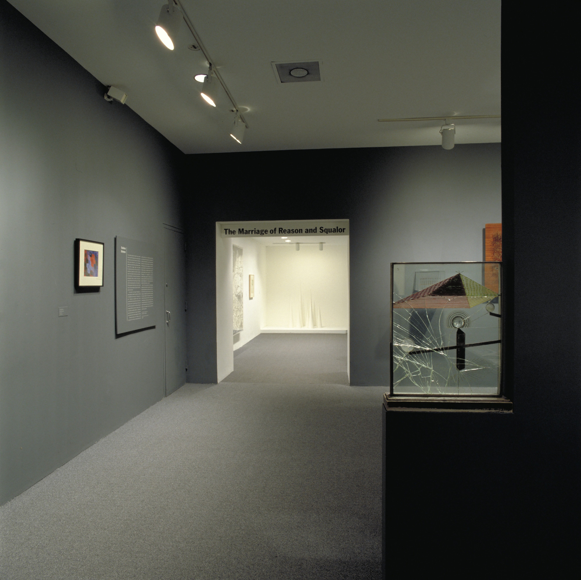 Installation view of the exhibition "Useless Science," in the series ...