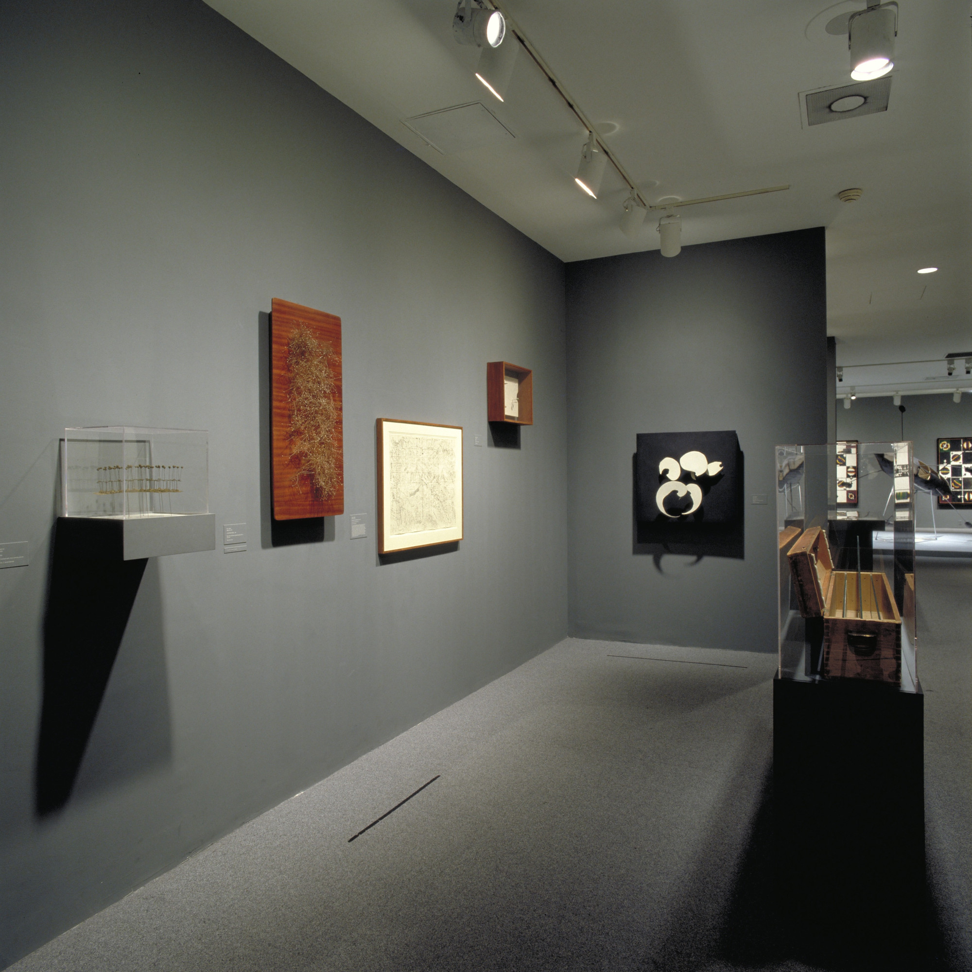 Installation view of the exhibition "Useless Science," in the series ...