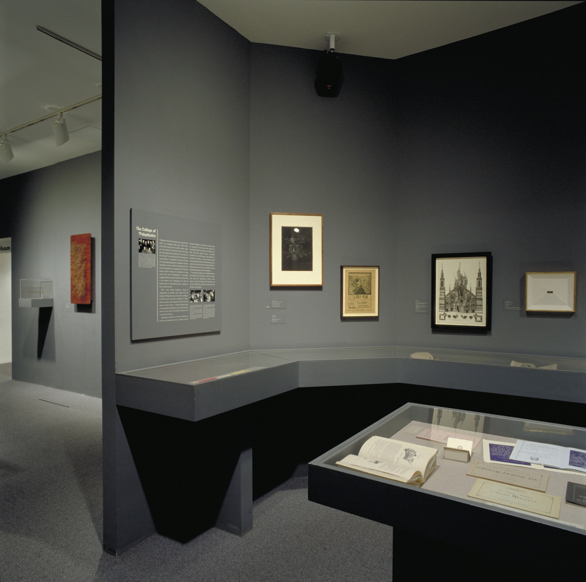 Installation view of the exhibition "Useless Science," in the series ...