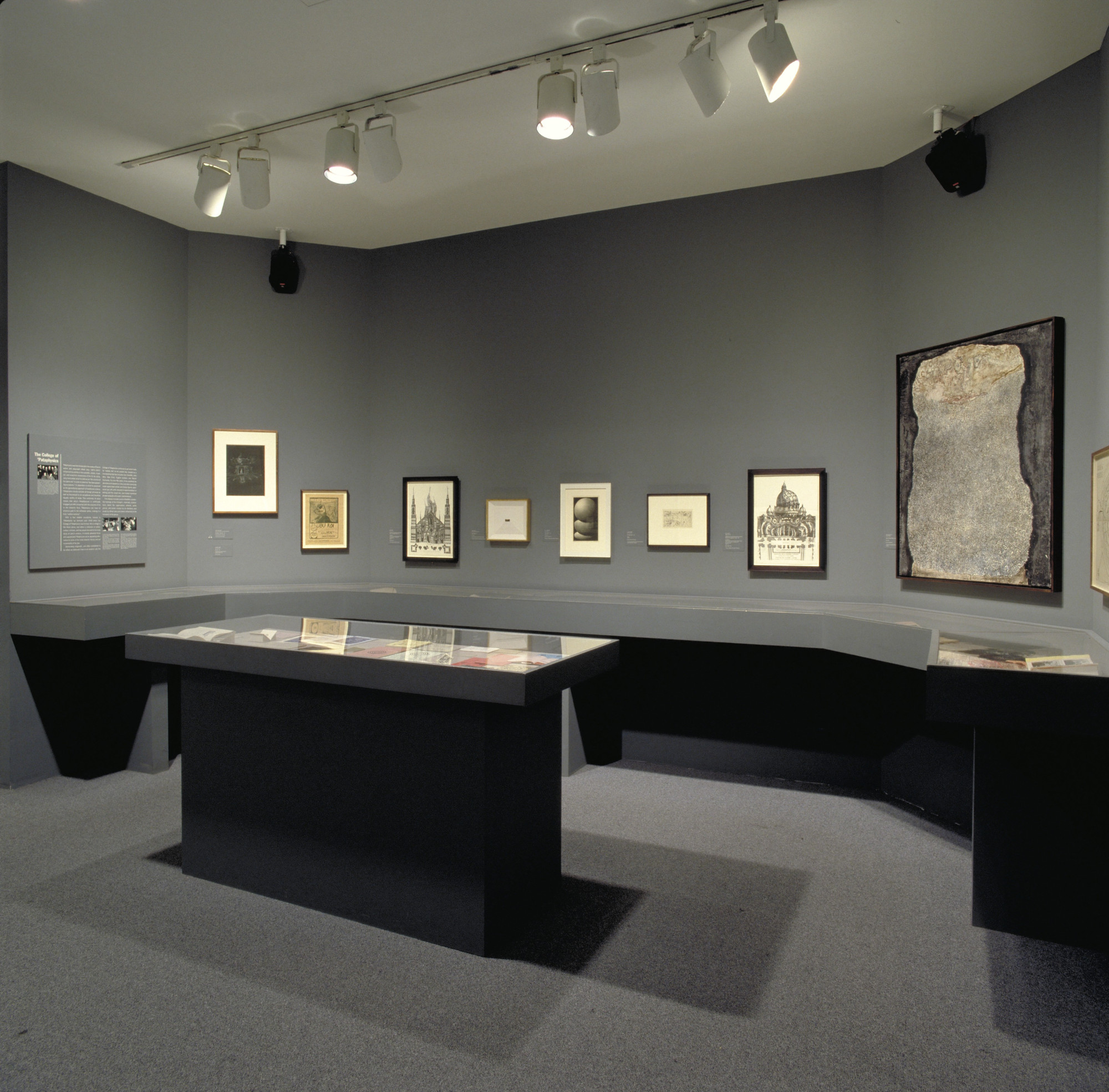 Installation view of the exhibition "Useless Science," in the series ...