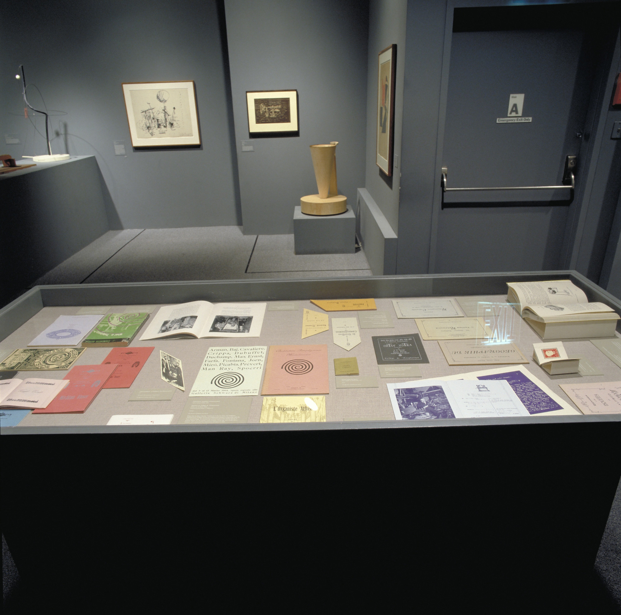 Installation view of the exhibition "Useless Science," in the series ...