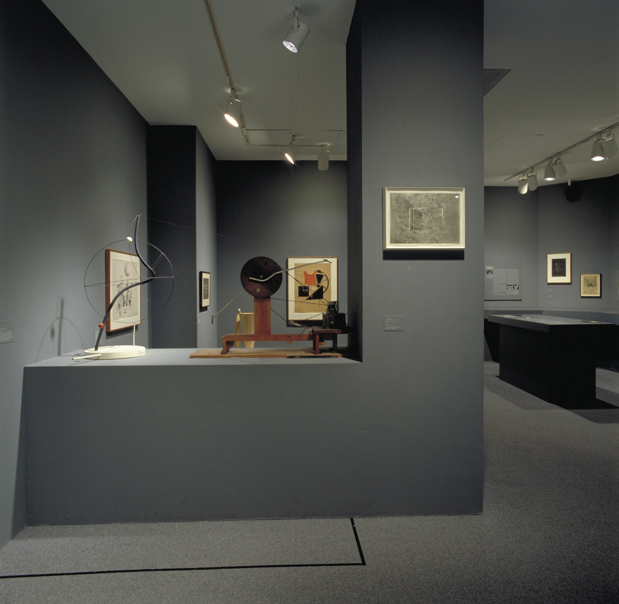 Installation view of the exhibition "Useless Science," in the series ...