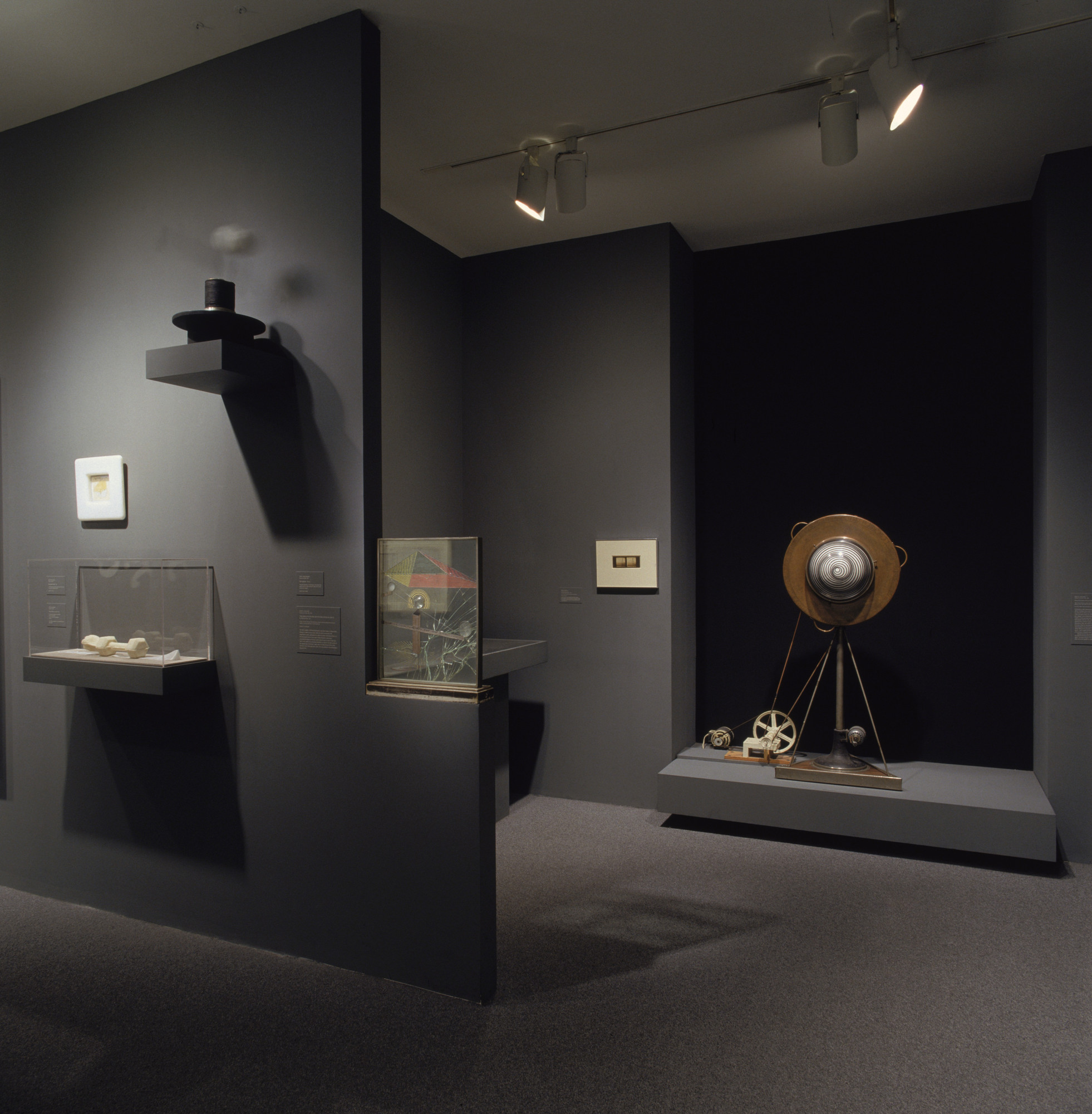 Installation view of the exhibition "Useless Science," in the series ...