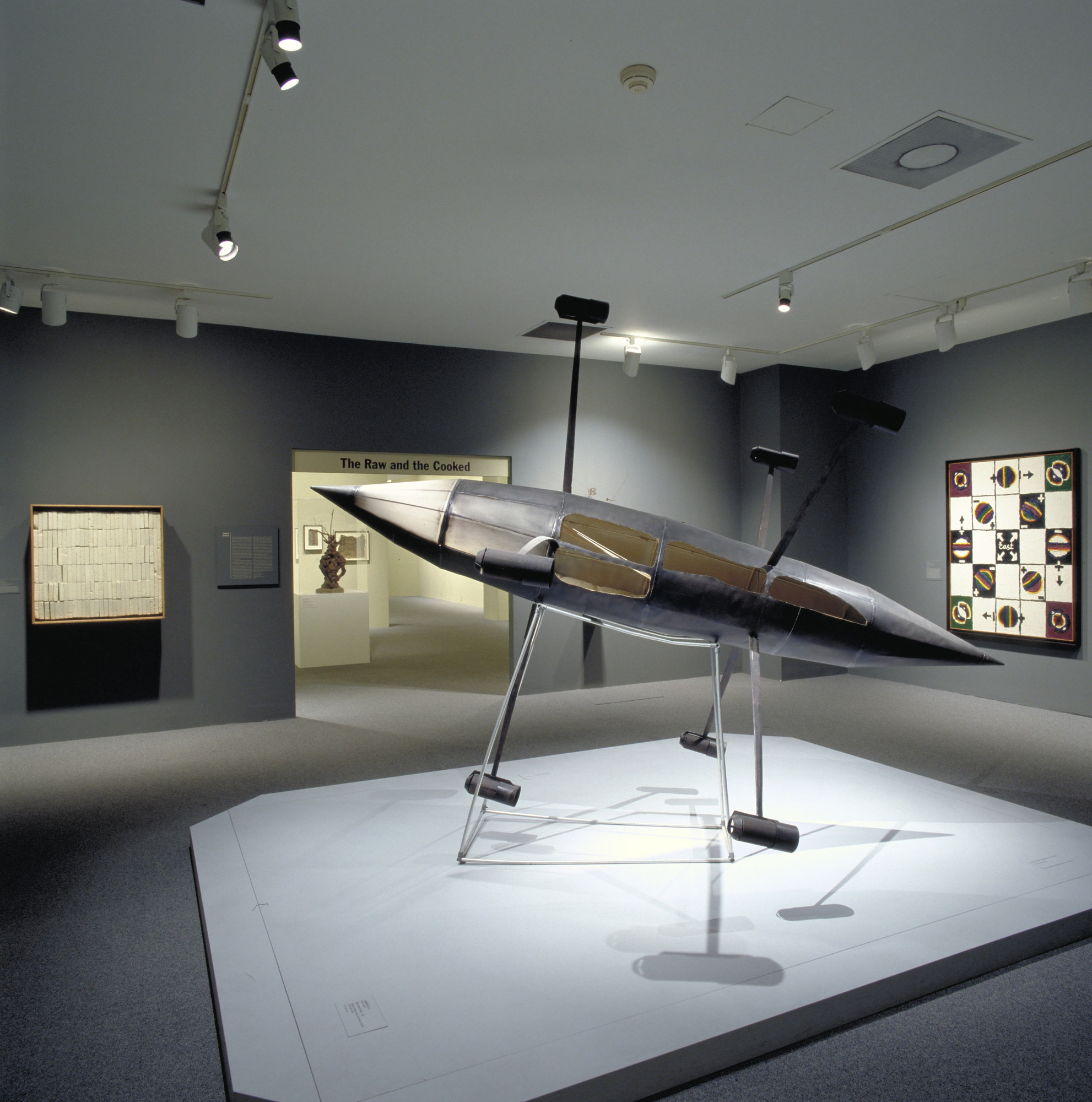 Installation view of the exhibition "Useless Science," in the series ...