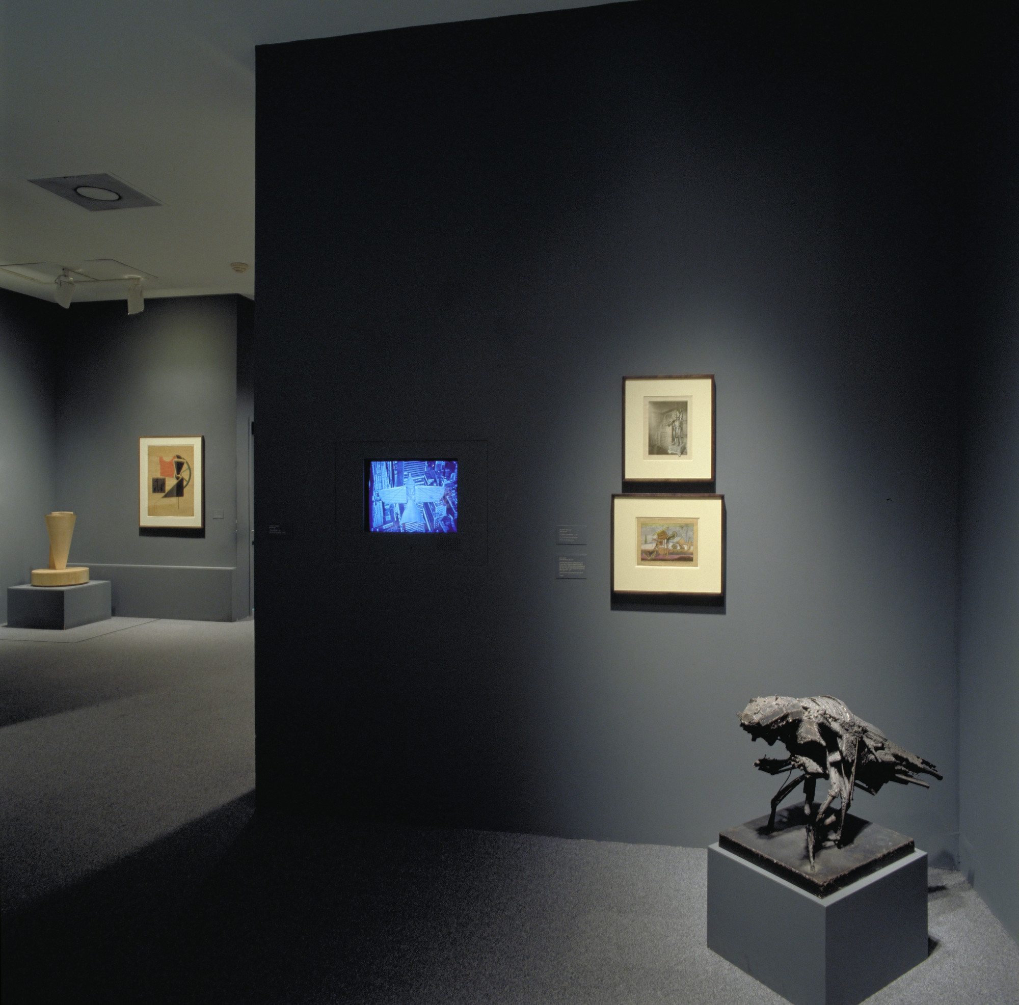 Installation view of the exhibition "Useless Science," in the series ...